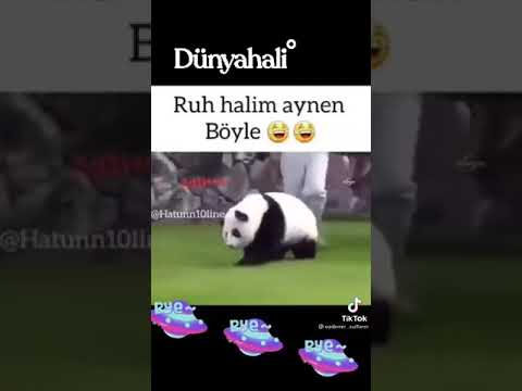 Ruh halim aynen böyle 🤣🤣