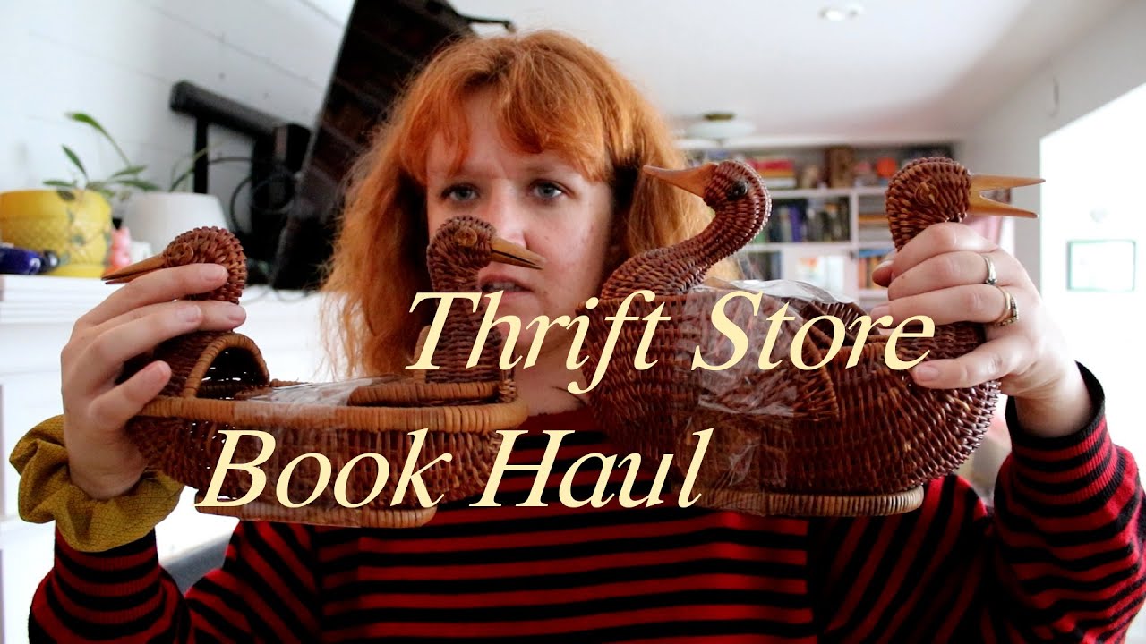 Thrift Store Book Haul | I found 25 books for 30 Dollars - YouTube