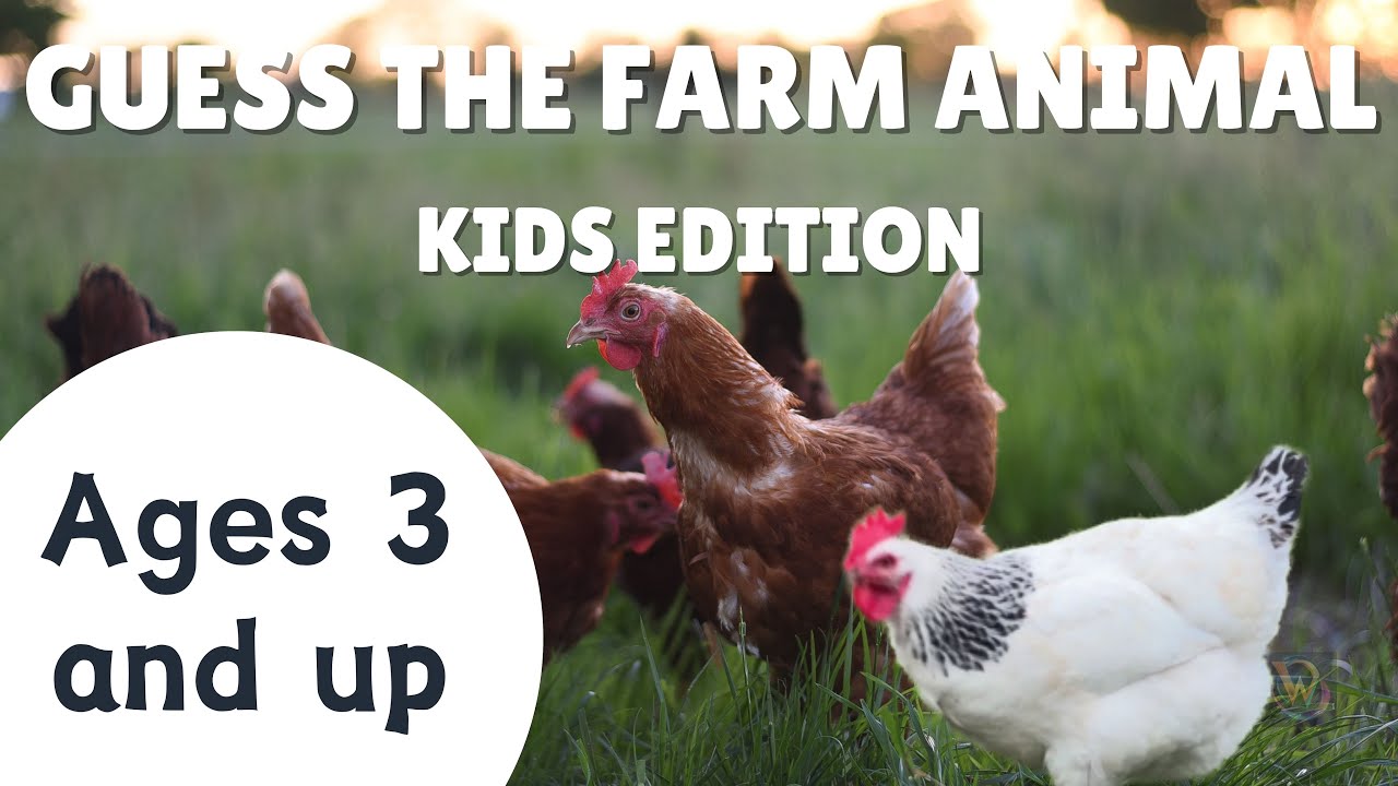 Farm Animal Sound Challenge I Fun Guessing Game for Kids - YouTube