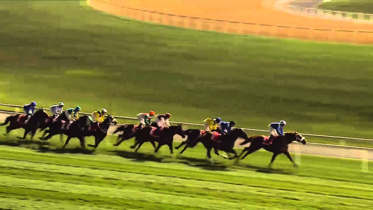 Tryster by Shamardal wins the G1 Jebel Hatta at Meydan - YouTube