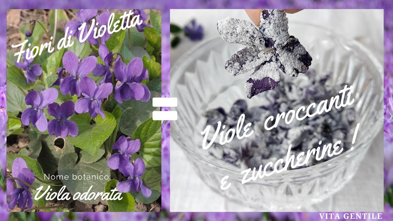 Violette brinate!Ricetta valida per petali di fiori misti da utilizzare ...
