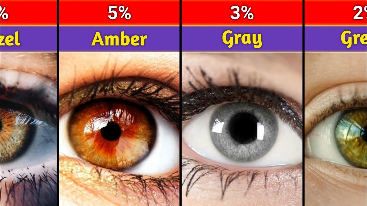 The Official Guide to The World's Population By Eye Color 🤗 - YouTube