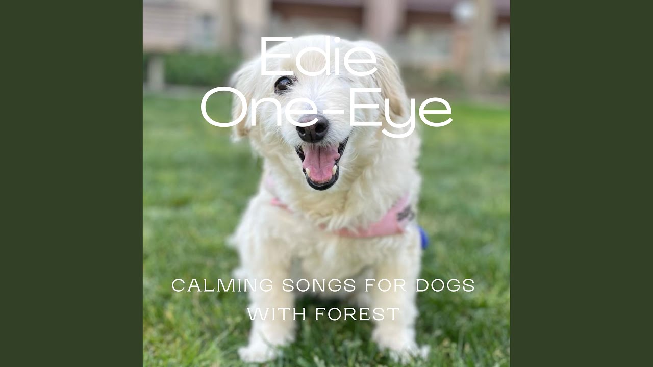 Eddie One Eye - YouTube Music