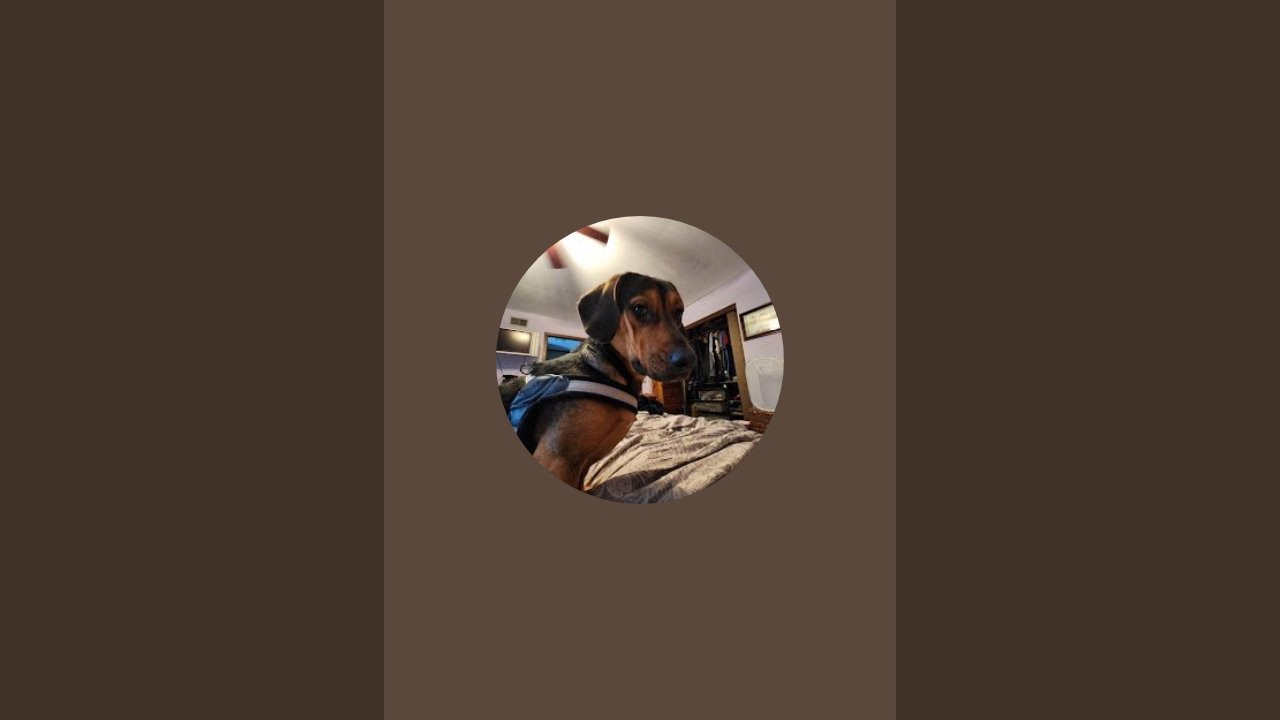 Hawk center. is live! - YouTube