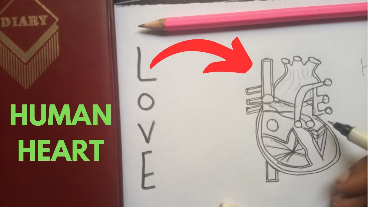 Drawing a Human Heart Using the Letters L O V E | Creative Art Tutorial ...