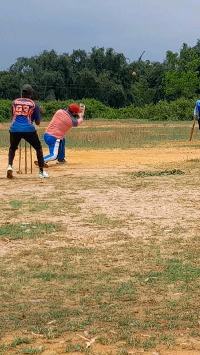 hitting the ball out of the park | #cricket #teniscricket #viral # ...