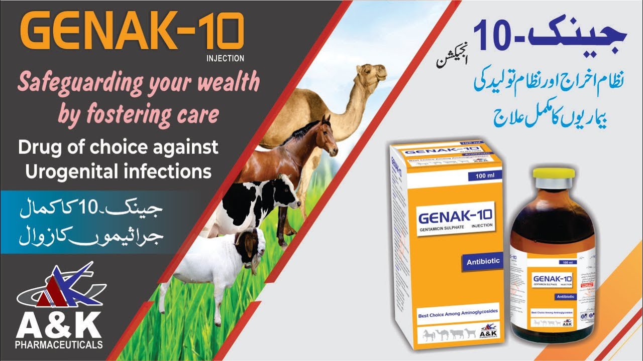 Gentamicin Sulphate | Urinary & Reproductive Infections | Genak-10 ...
