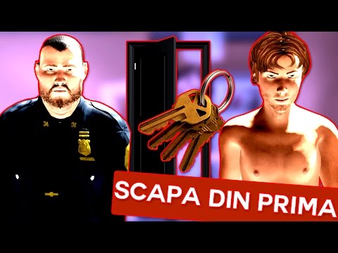 AMANTUL A SCAPAT DIN PRIMA |MaxINFINITE și Pisica