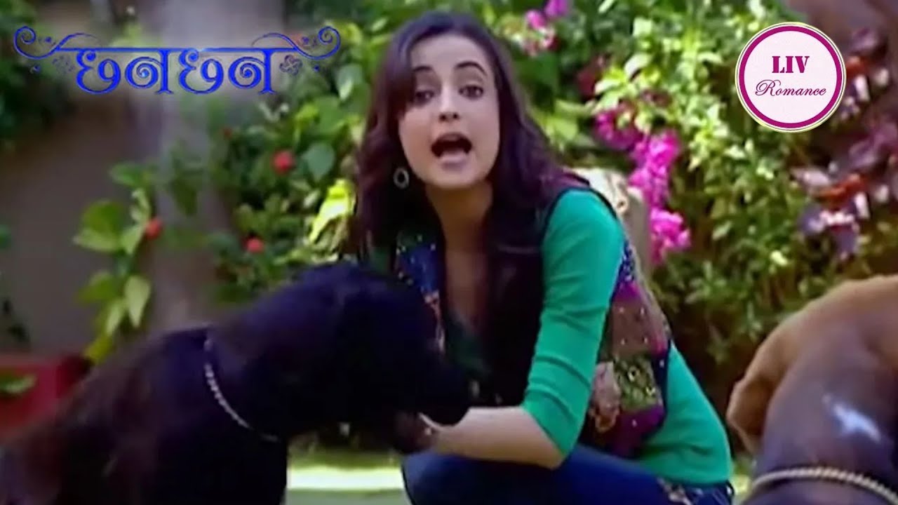 ChhanChhan's Love & Care For Her Pets | ChhanChhan | Full Episode - YouTube