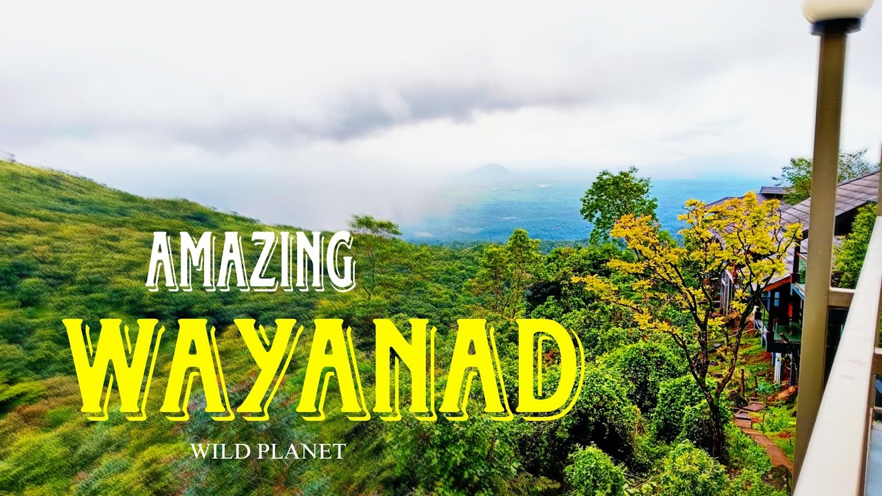 The Amazing Waynad (Kerala) Beautiful nature in the rainy season Wild ...