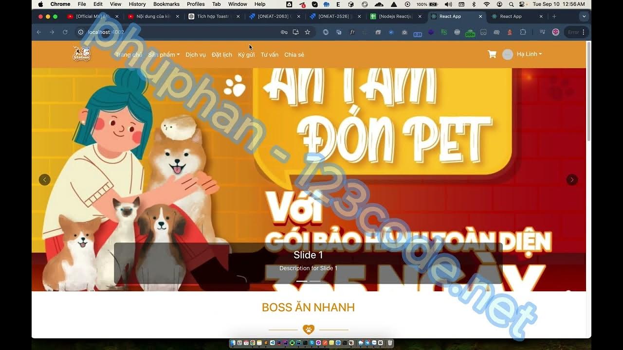 [Đồ án 2024] P5 Nodejs express reactjs mongoDB - Pet manage - 123code.net - YouTube