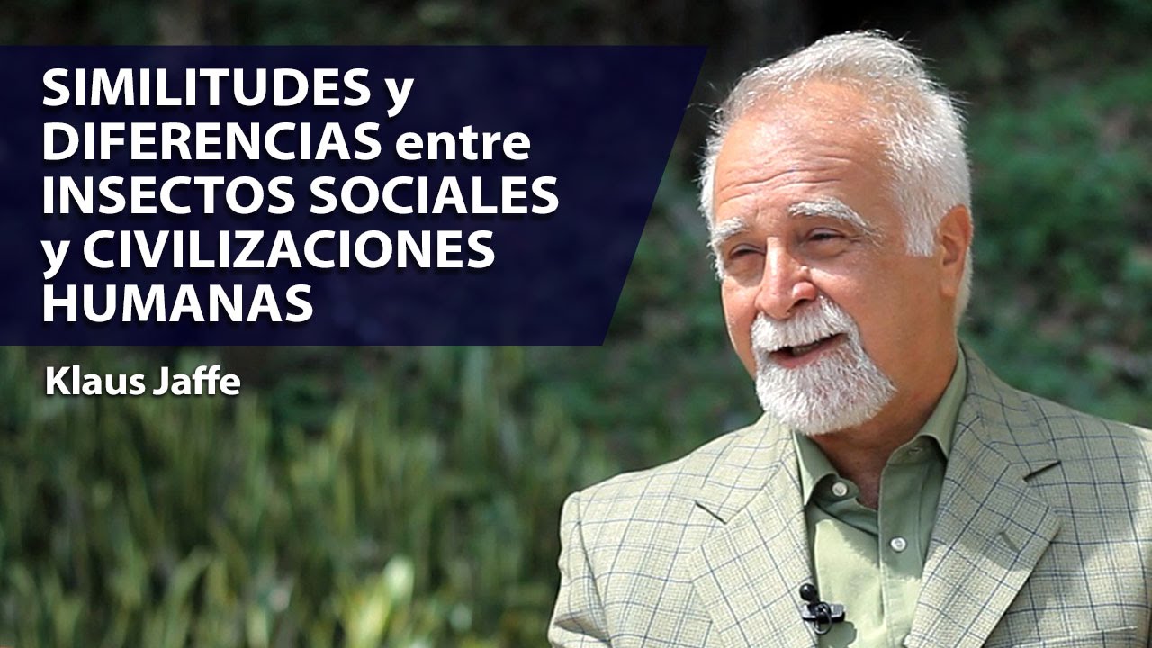 Similitudes y diferencias entre insectos sociales y civilizaciones ...