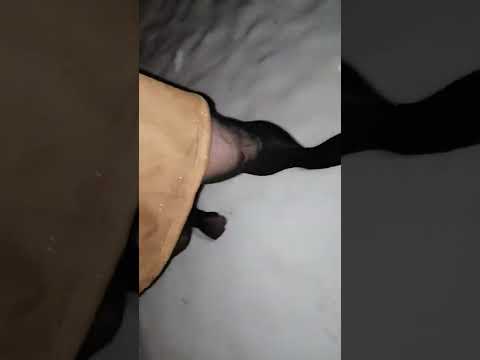 Man in Pantyhose (MiPh): Schneewalk