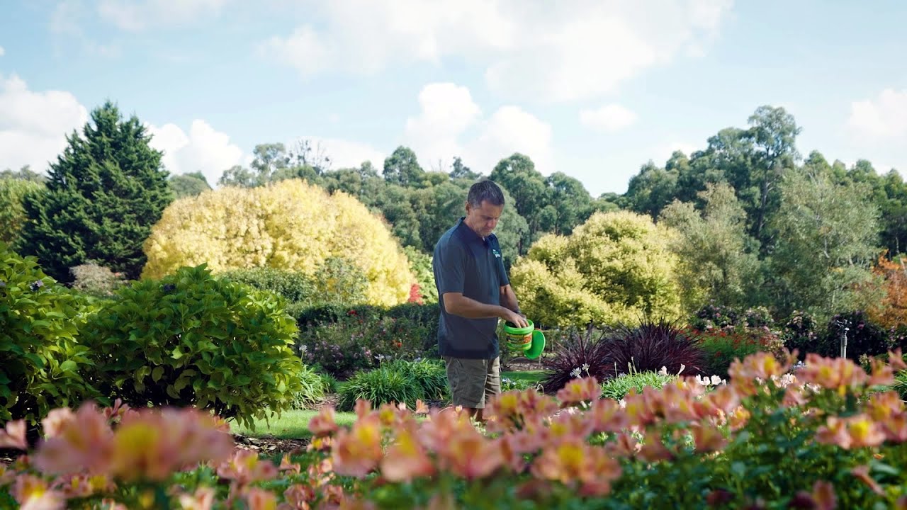 The Garden Gurus - All Purpose Seasol Collaboration - YouTube