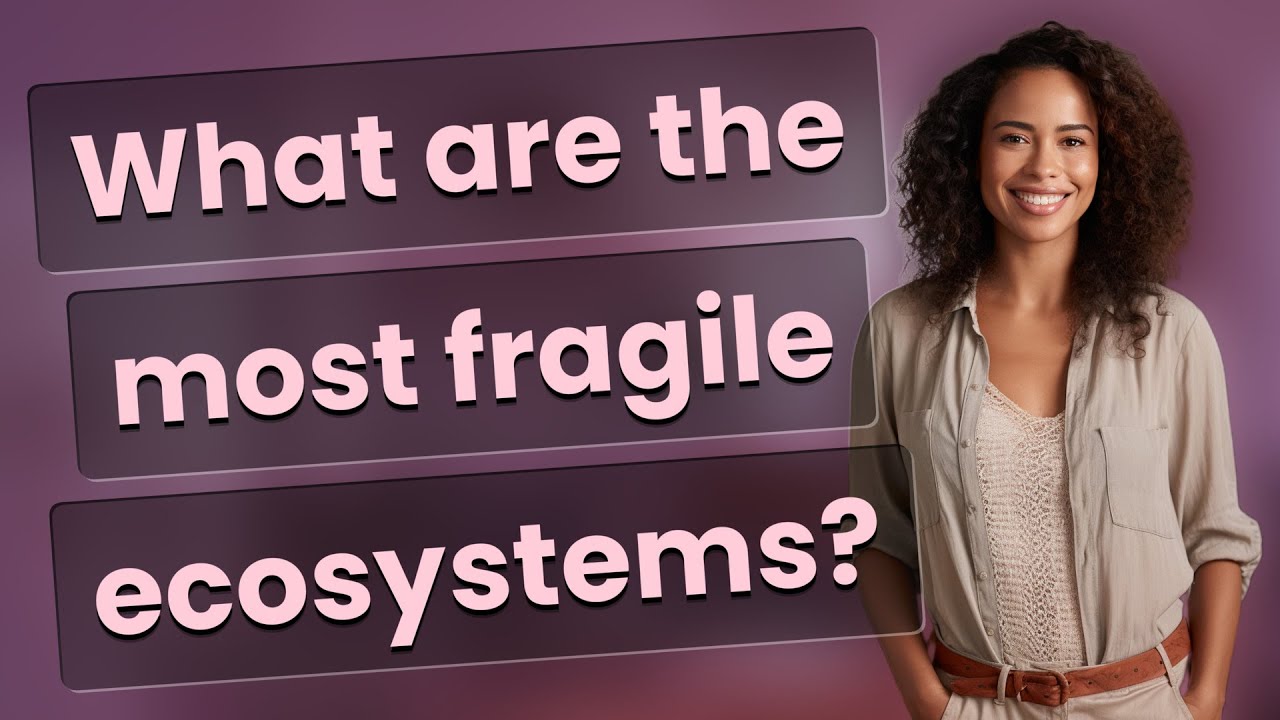 What are the most fragile ecosystems? - YouTube