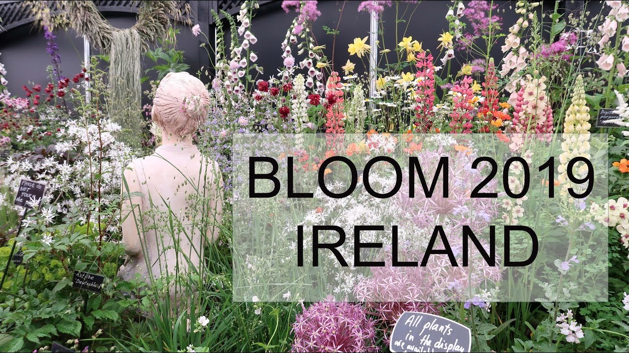 IRELAND'S LARGEST GARDEN FESTIVAL 🌸 | BLOOM IRELAND 🇮🇪 - YouTube