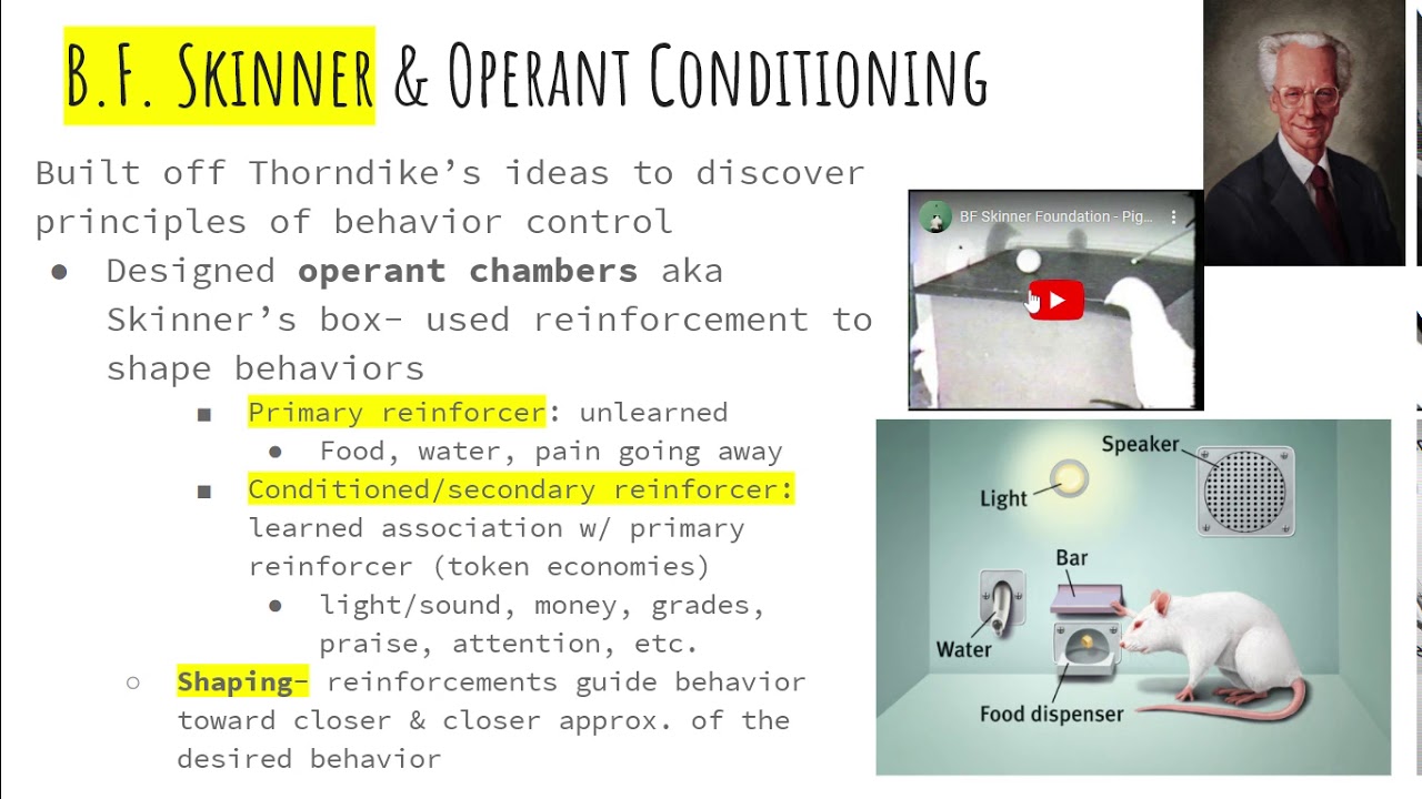 5 2 Operant Conditioning Reinforcement And Punishment AP 5-2-operant-conditioning-reinforcement-and-punishment-ap
