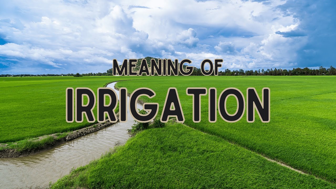 What is the meaning of Irrigation? - YouTube