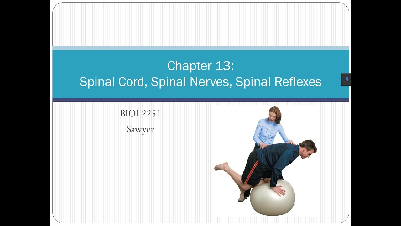 Chapter 13 Lecture Video - YouTube