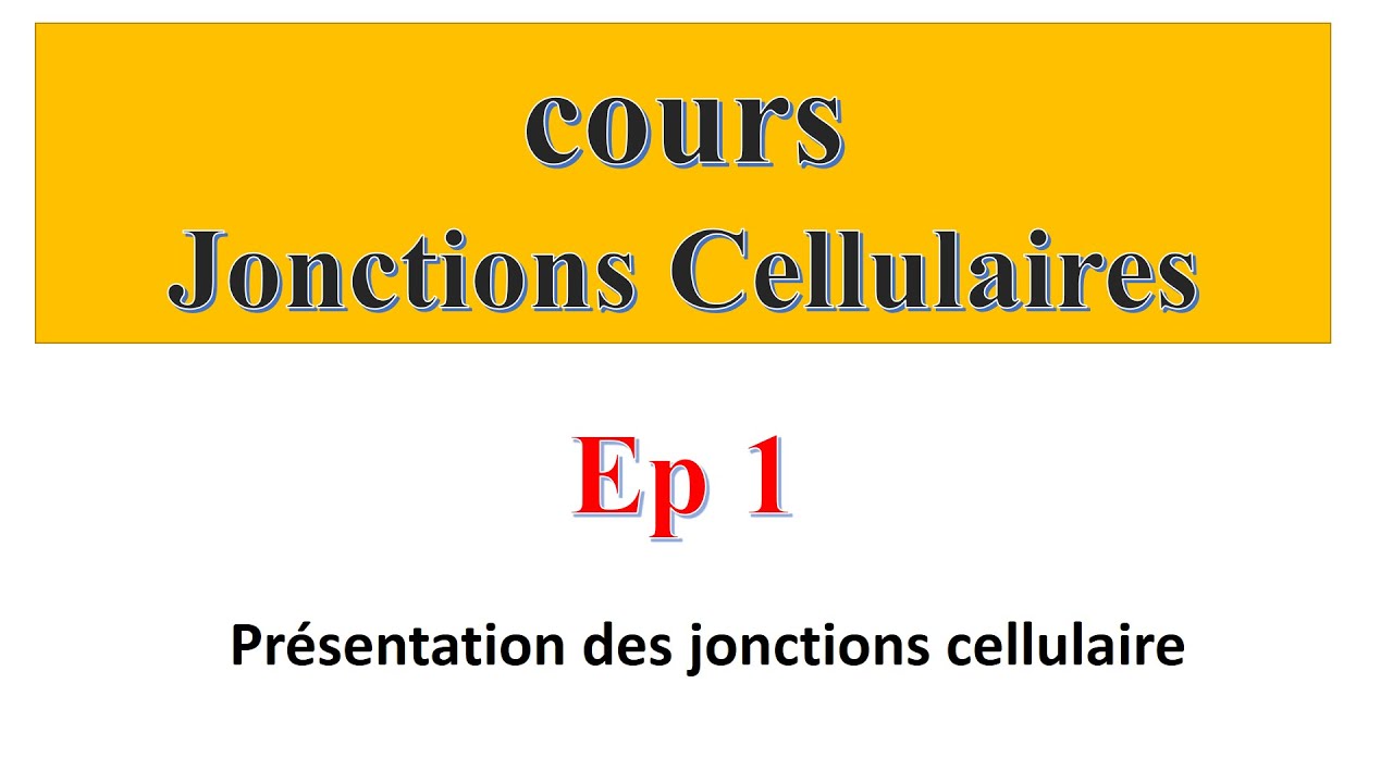cours jonctions cellulaires Ep 1 : présentation des jonctions ...