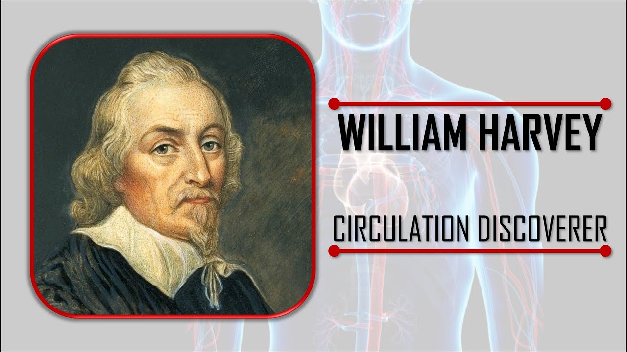 William Harvey: The Pioneer of the Circulatory System - YouTube
