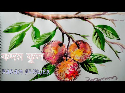 বর্ষার কদম ফুল kadom full . Easily draw kadom full. - YouTube