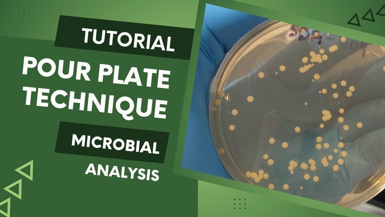Enumeration of microbes using Pour Plate Method - YouTube