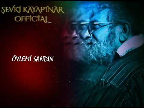 ŞEVKİ KAYAPINAR-NEDEN BÖYLE DARGIN BAKARSIN