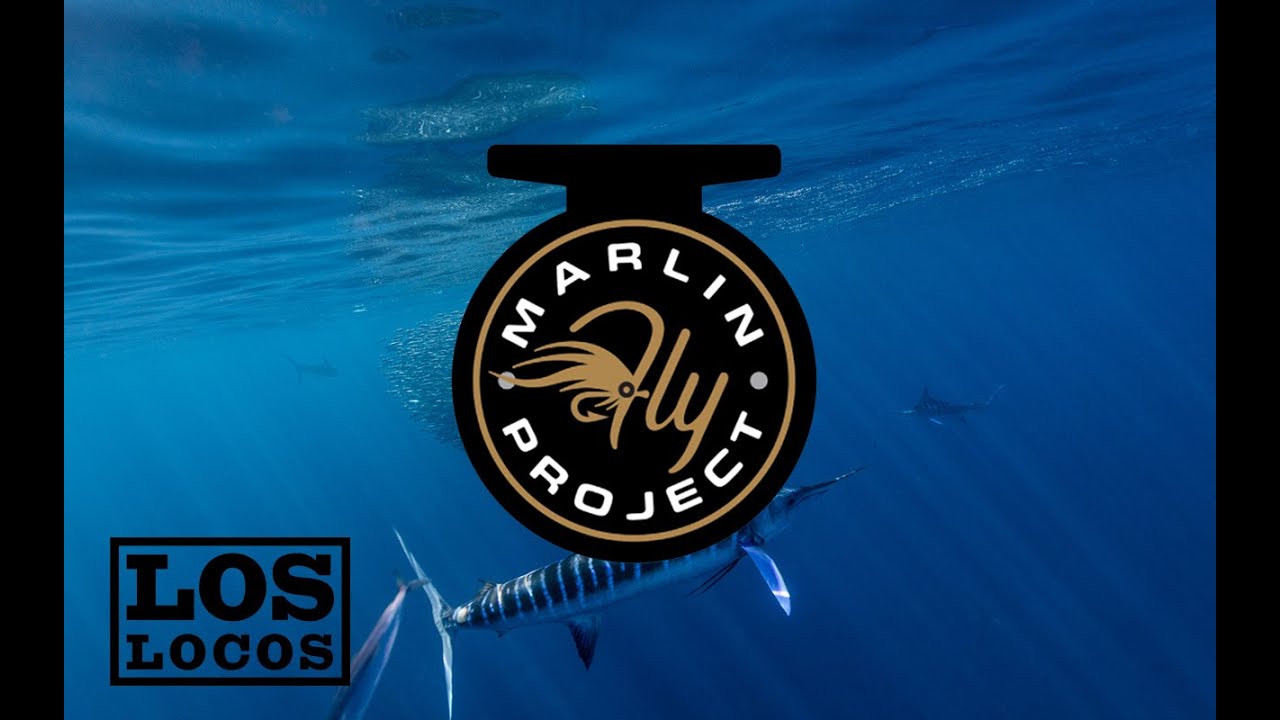 The Marlin Fly Project | Tagging Striped Marlin in Magdalena Bay, Mexico - YouTube