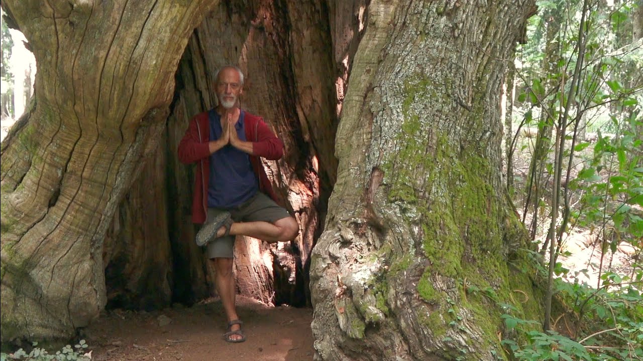 氣功 QI GONG Tree Position and Old Chestnut - YouTube