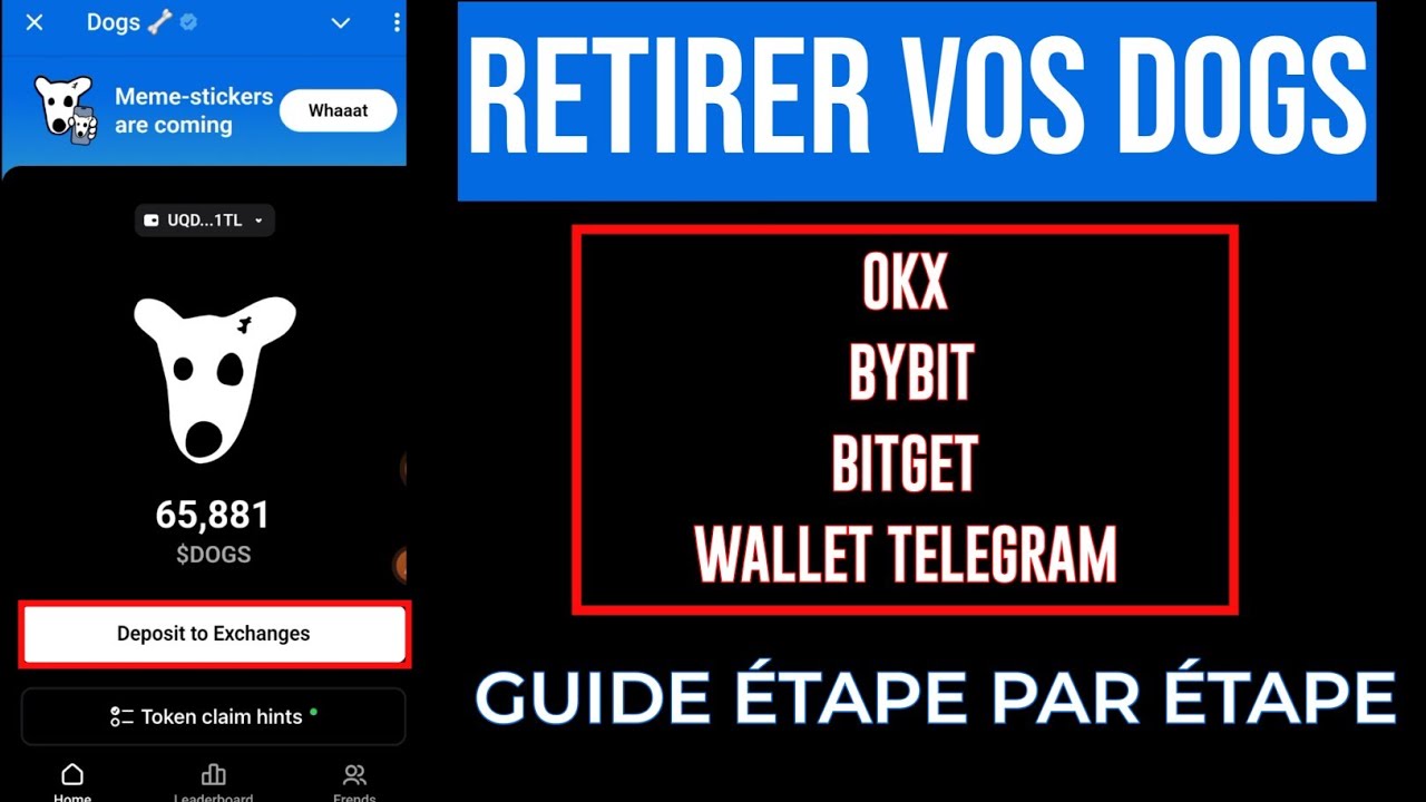 RETIRER VOS DOGS | BITGET - OKX - BYBIT - WALLET TELEGRAM - YouTube