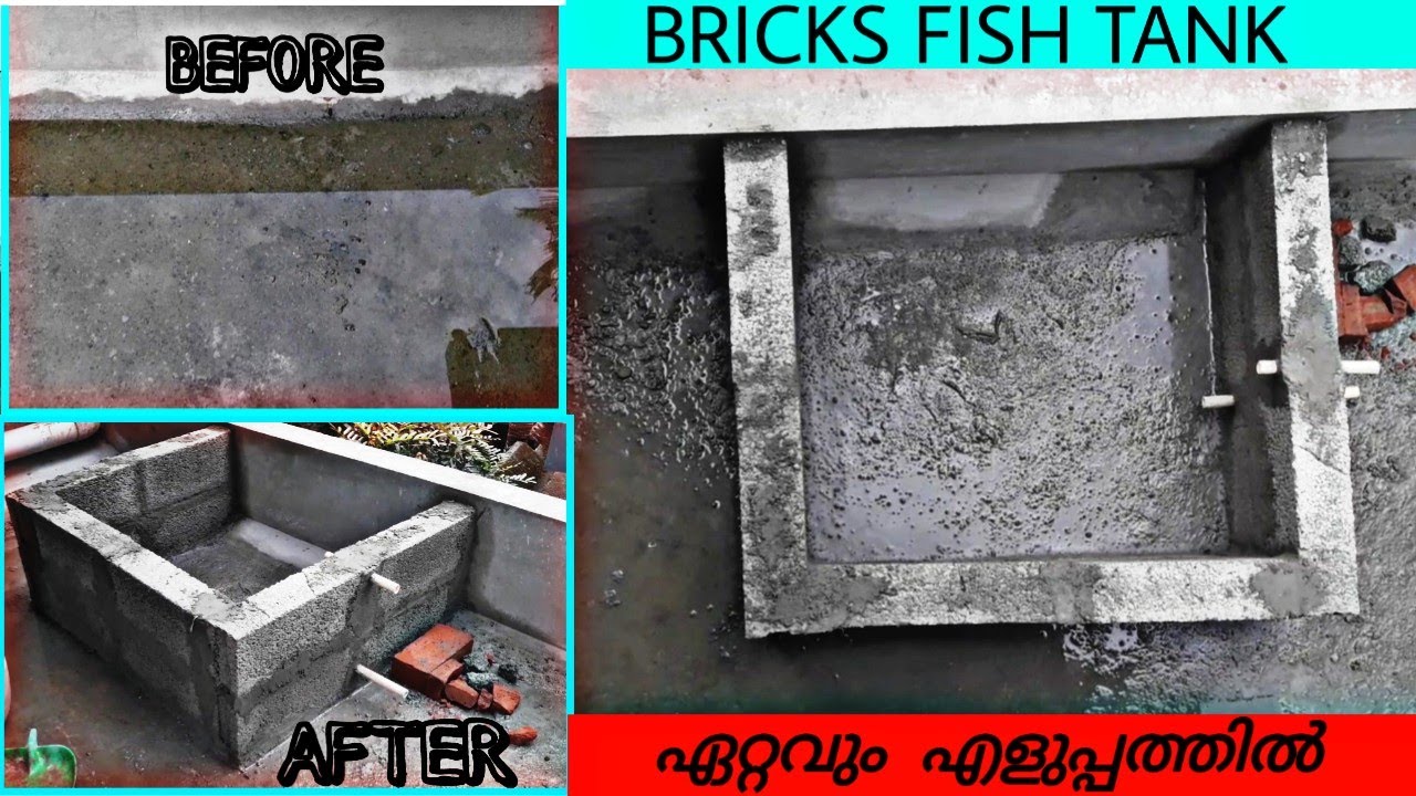 How To Make A Fish Tank From Cement And Bricks | Simple Build On Roof ...