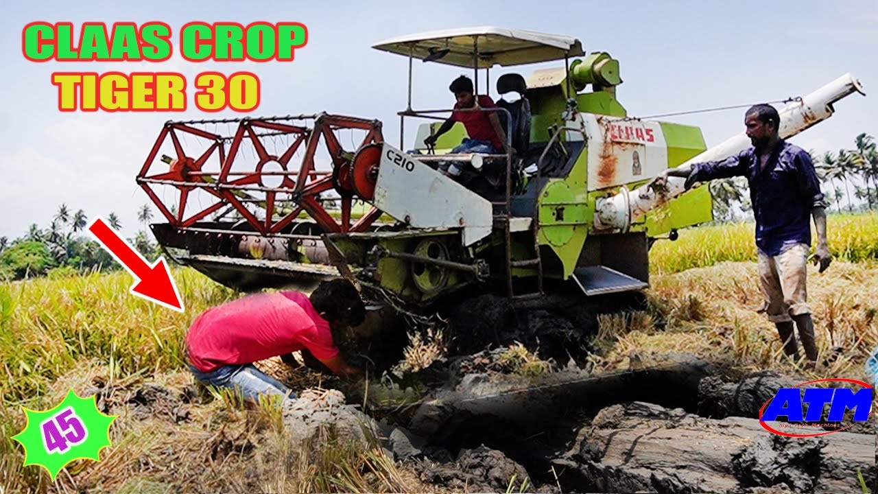 Grand CLAAS Tiger 30 Agriculture Rice Harvesting machine is Stuck in Slimy Mud | Agri Tech ...