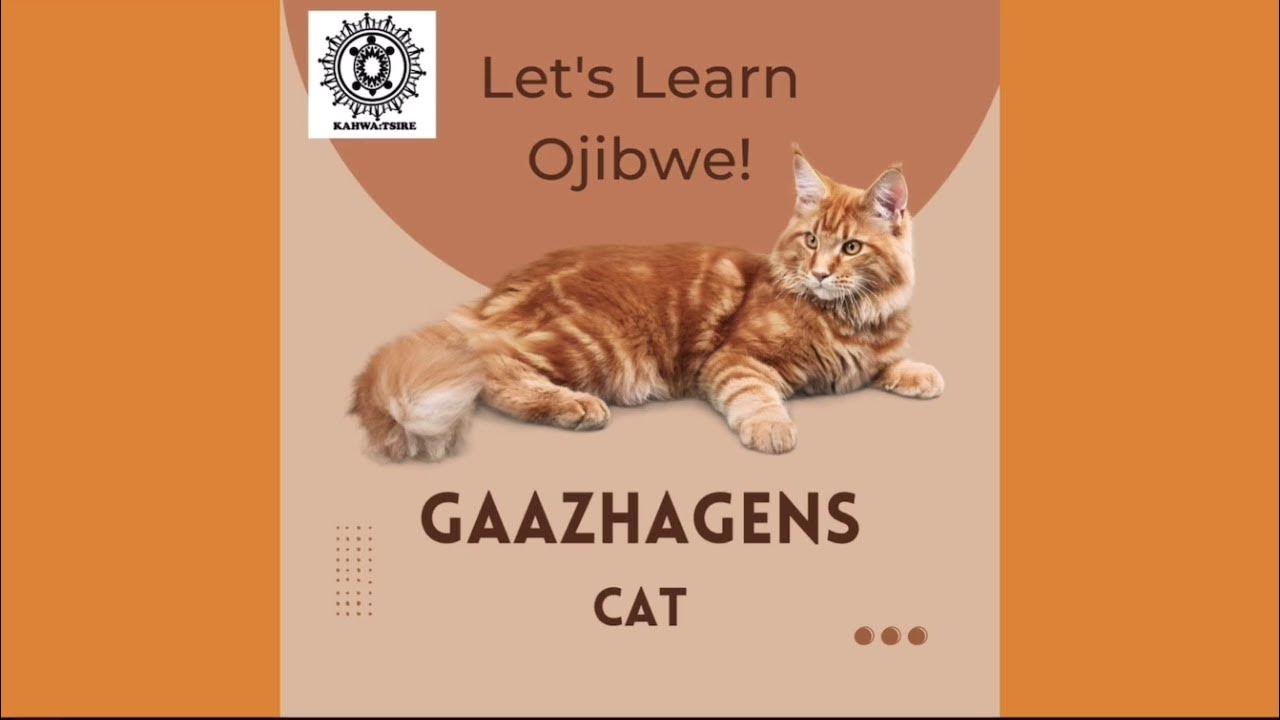 Let’s Learn Anishinaabemowin- Pets - YouTube