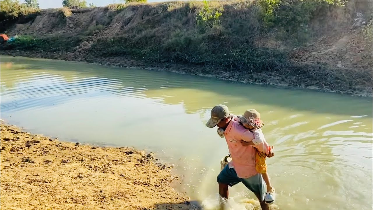 Finding Fish Shrimps And Crabs At The Rice Field And Making Samlar ...