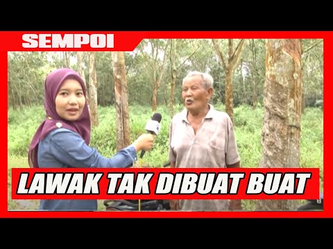 🔴Lawak Tak dibuat-buat Temuramah dengan Penoreh Getah