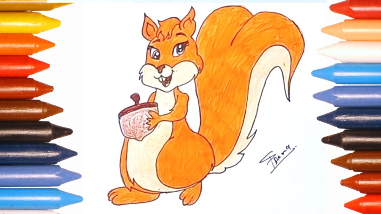 How to draw a Squirrel | Cartoon Drawing | How to draw animal drawing ...