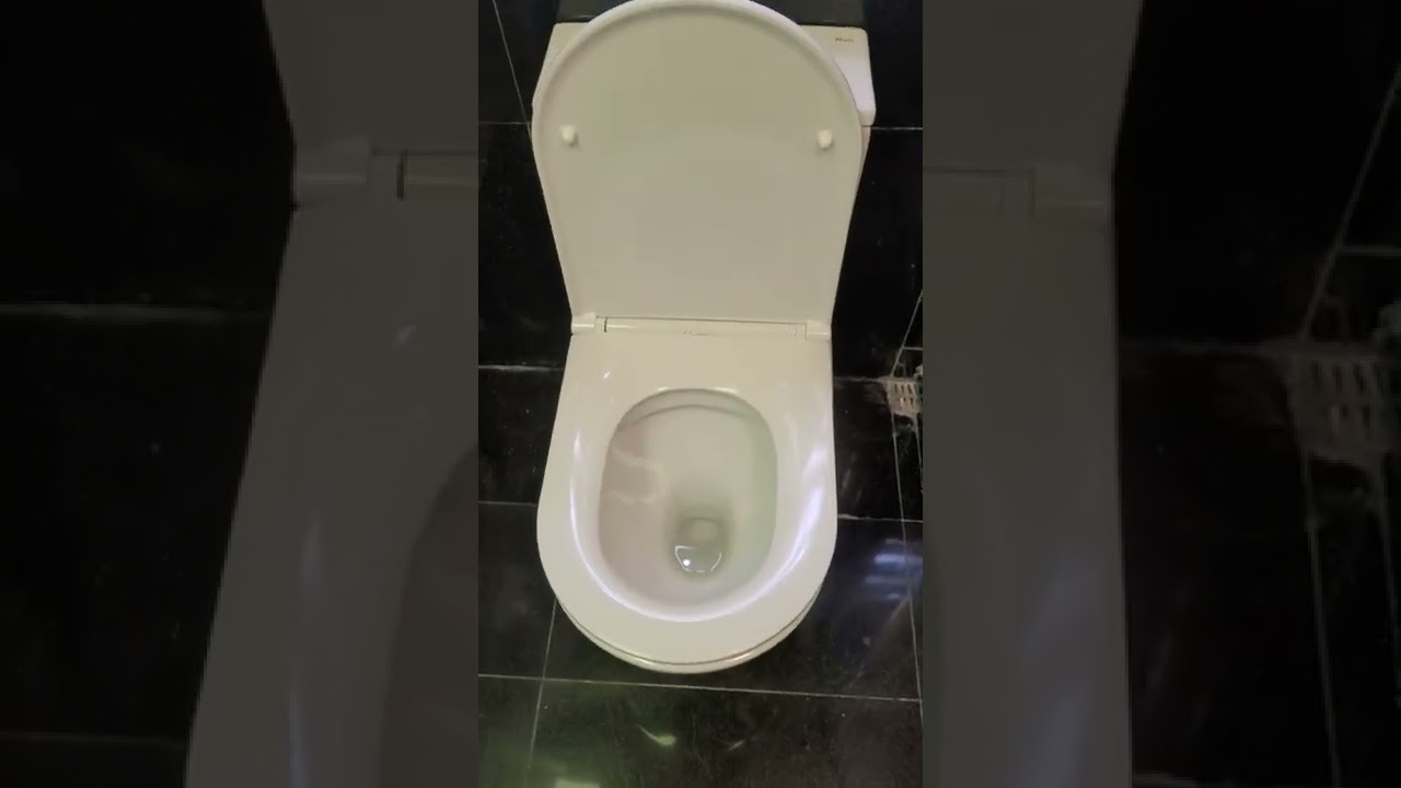 Rigel WC 9030 - YouTube