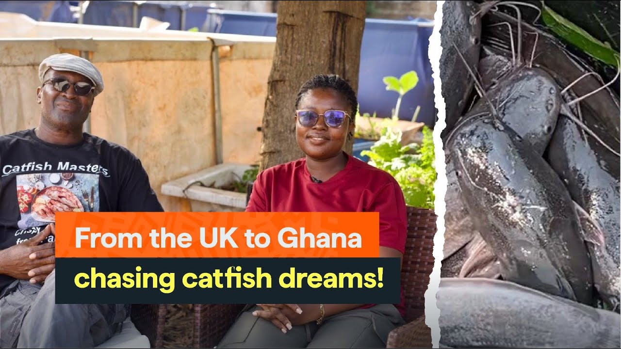 He Returned From the UK to Start a Backyard Catfish Farm in Ghana - YouTube