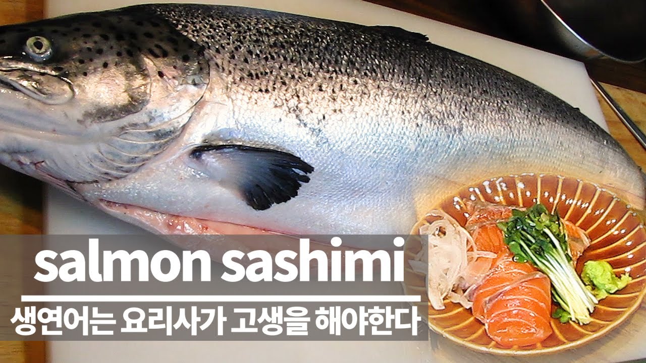 생연어연어연어숙성연어회생연어회 생연어숙성하기 생연어 분리 🍙🍣연어숙성과 사시미🥢🍴 Youtube