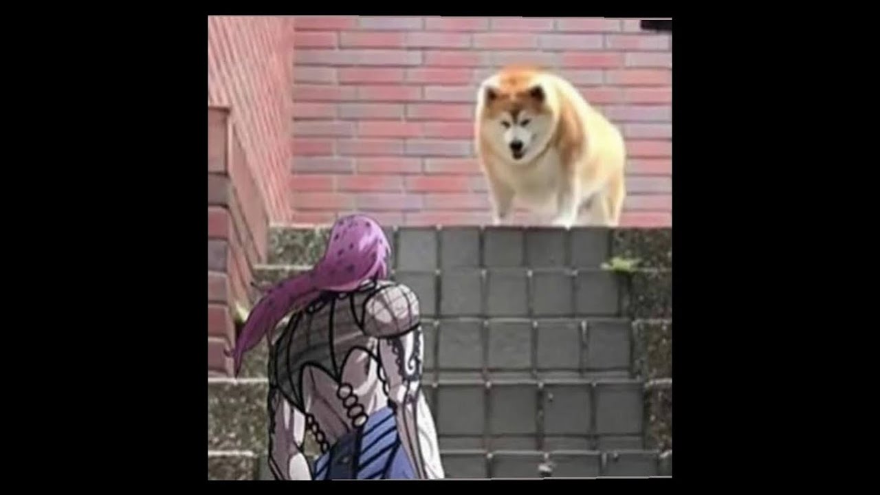 Shitpost que necesitan contexto | Shitpost Compilation | Shitpost Compilation V2 - YouTube