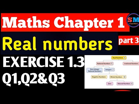 Class 10 maths|chapter 1 real numbers|exercise 1.3 (Q1,Q2&Q3)|2023-24 ...