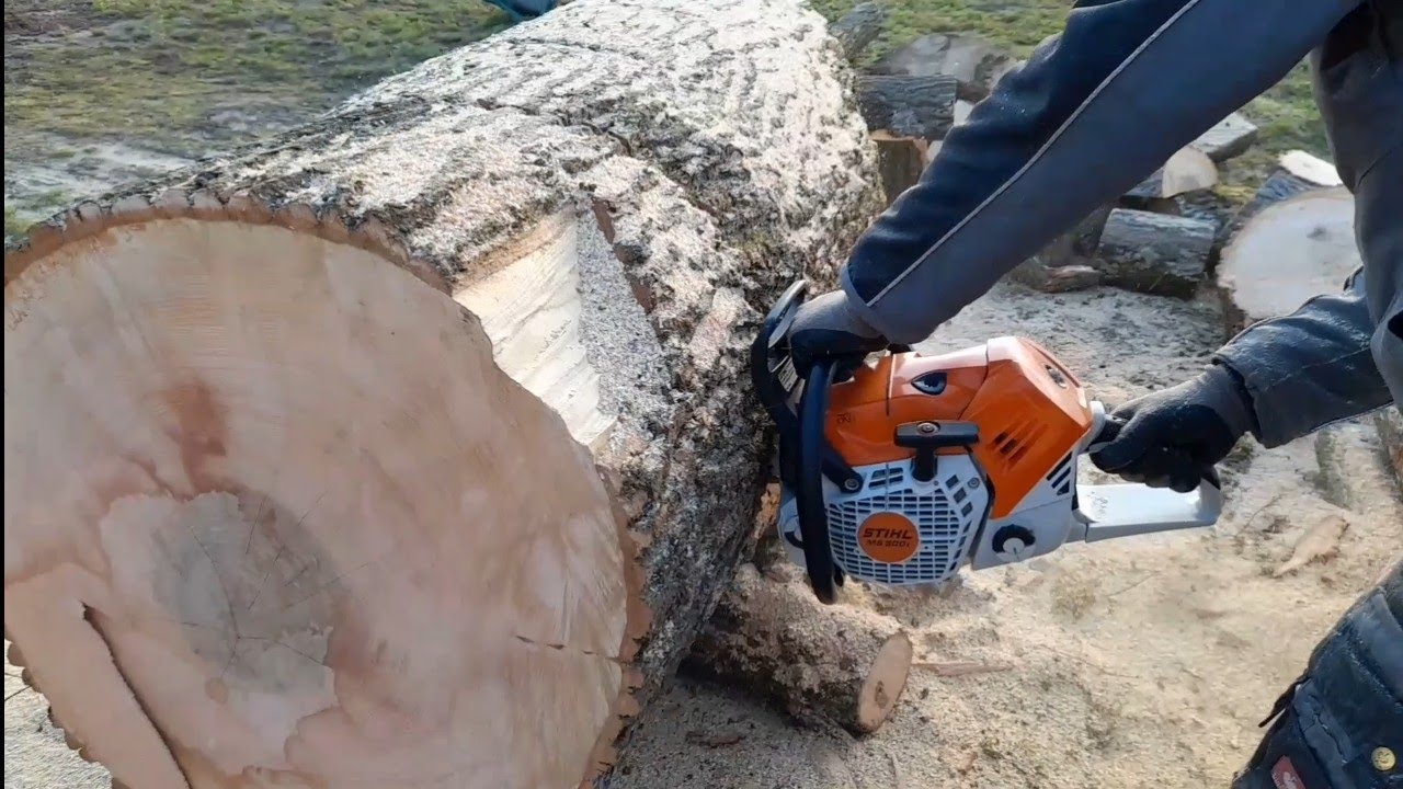 cutting ash tree log - YouTube