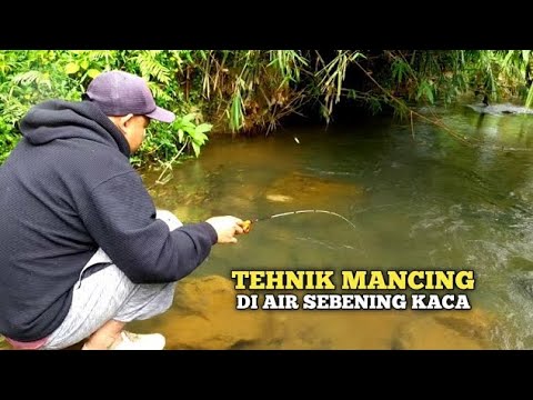 MANCING IKAN WADER DI AIR YANG JERNIH - YouTube