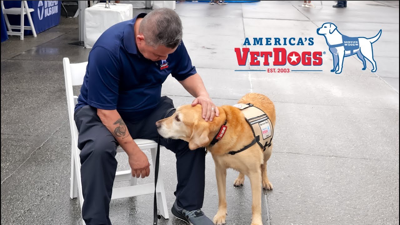 America's VetDogs Foundation - YouTube