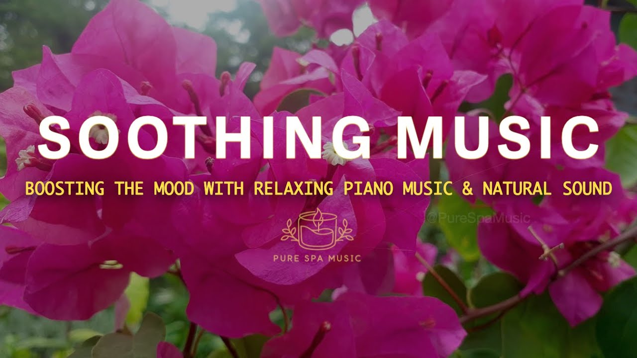 Boosting Your Mood With Beautiful Soothing Piano Music ☘️ Pure Spa ...
