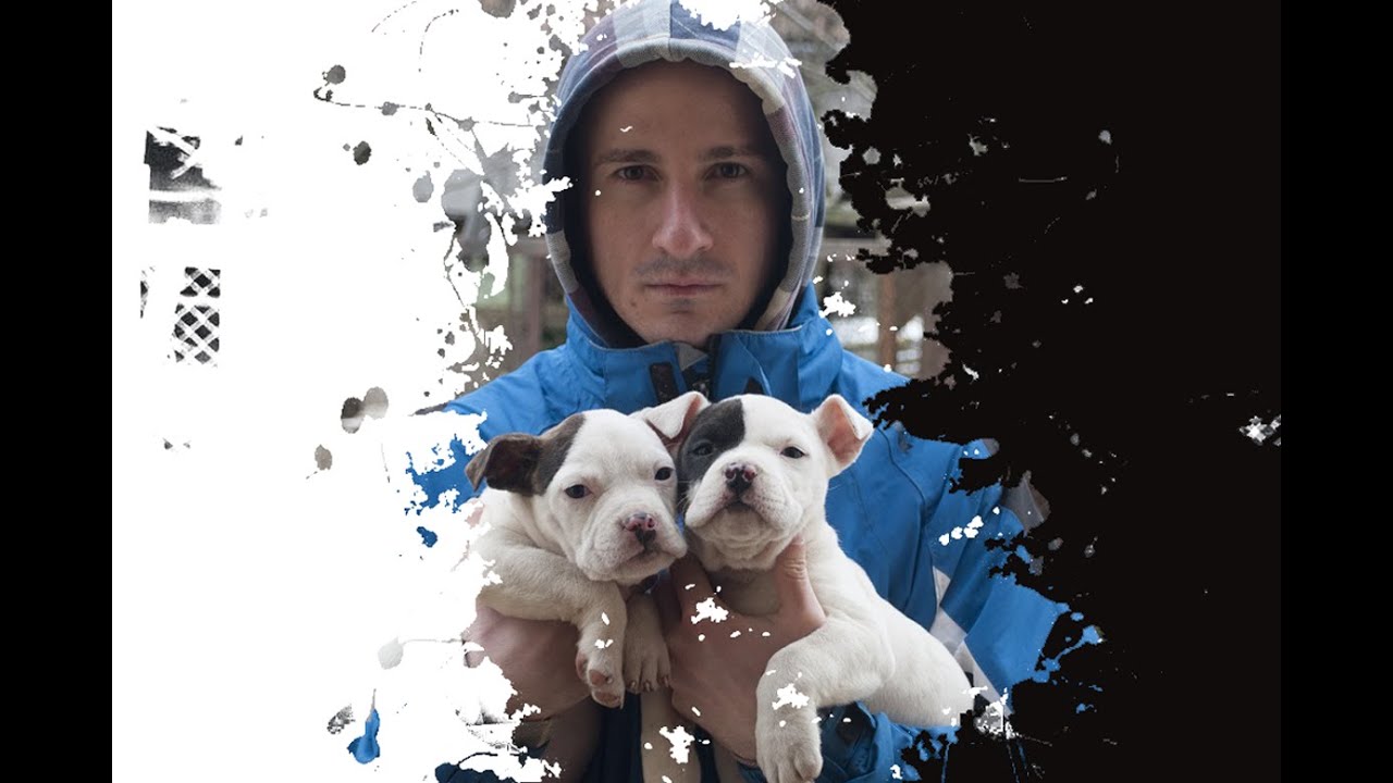 Darius Radu - Plic de ceai - YouTube