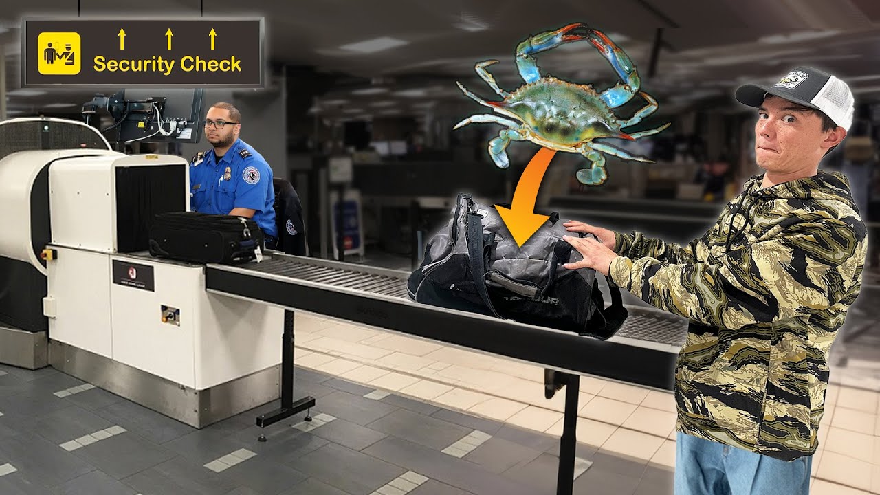 I smuggled LIVE CRABS onto a plane - YouTube