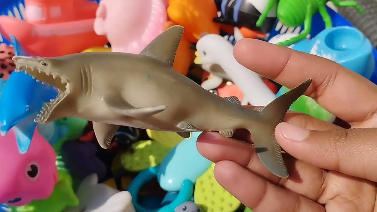 100 Sea Animals Collection - Learning Aquatic Animals Names and Videos ...