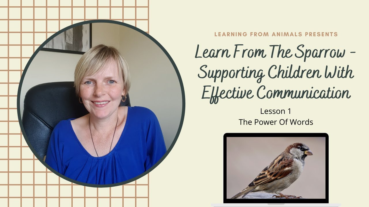 Teaching Children The Power Of Words - Lesson 1 From The Sparrow - YouTube